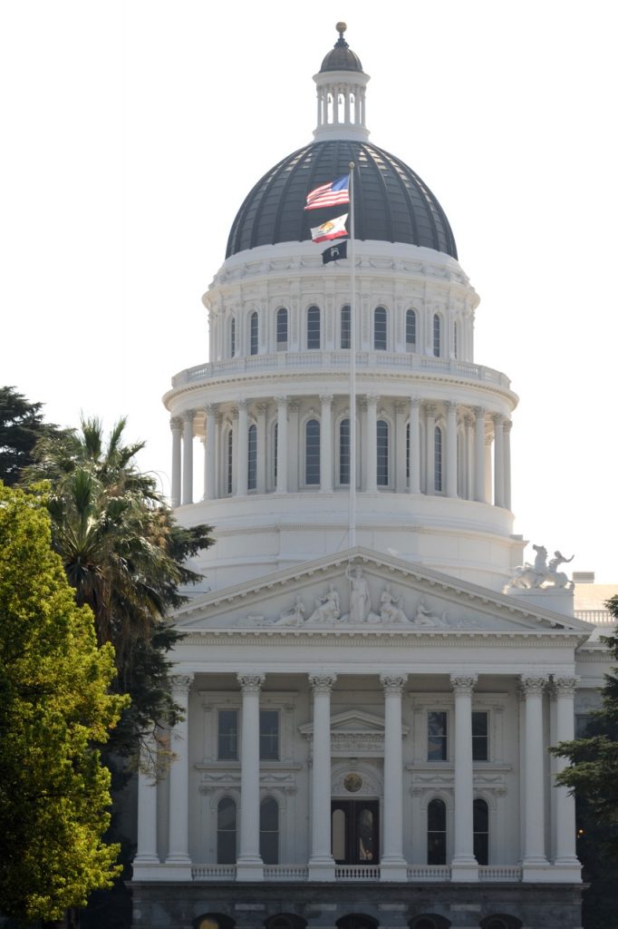 What is the Role of California’s Secretary of State? – California Globe