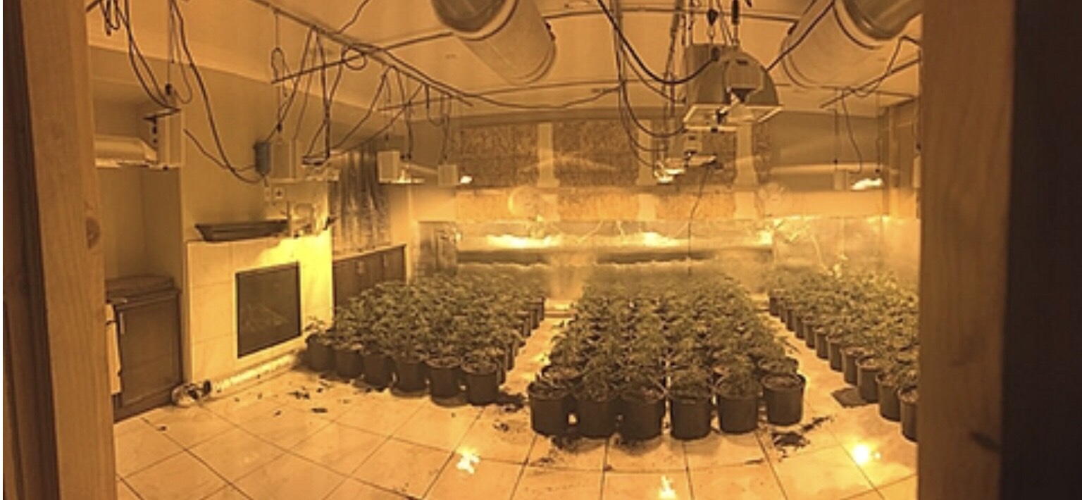Could a Marijuana Grow House Be Planting Its Roots Next Door ...