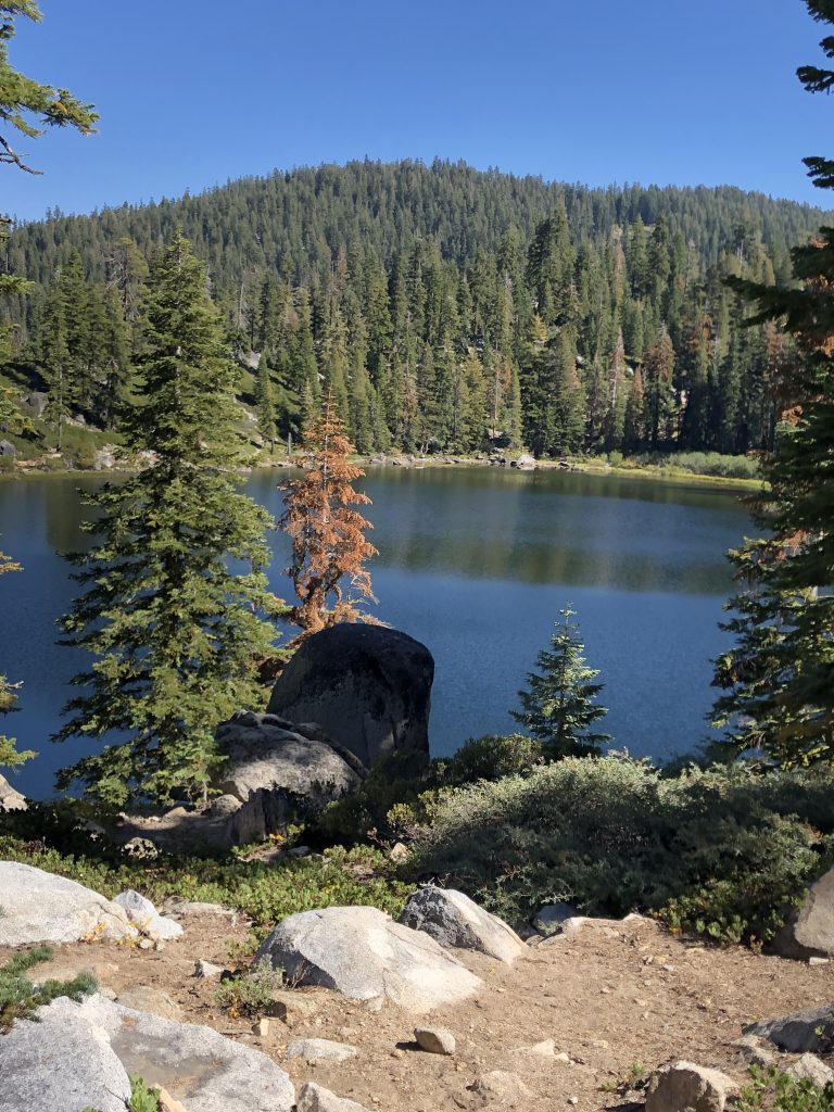 What Is in California’s Public Resources Code? - California Globe