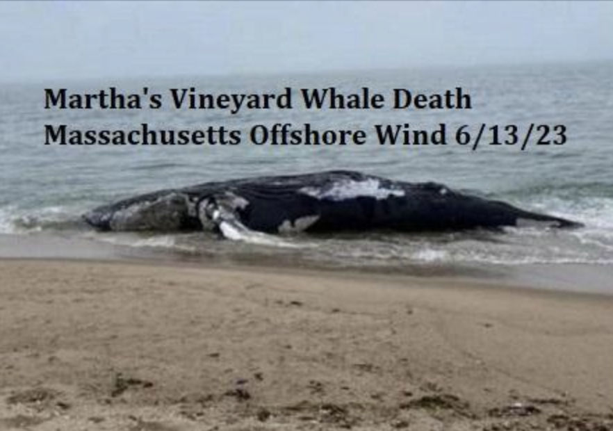 Green Energy Destroying California’s Coast: Morro Bay Wind Farm Project ...