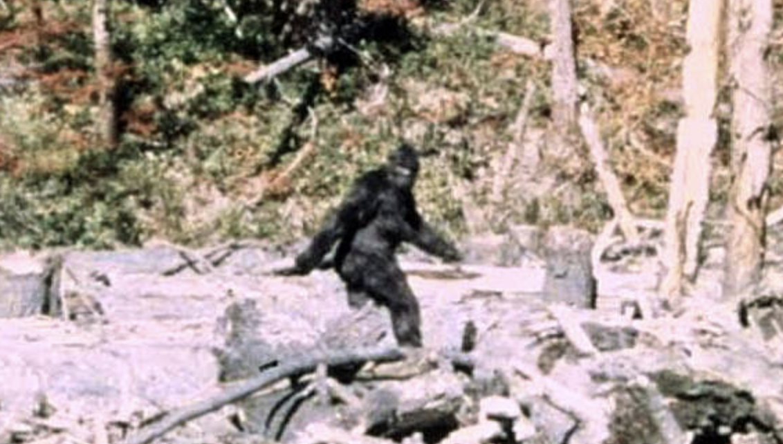 California Assemblyman Proposes Bigfoot as State’s Official Large Hairy ...