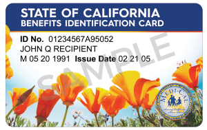 Katy Grimes – California Globe